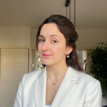 EU AI Act in 2025: Scope, Risk, Roadmap